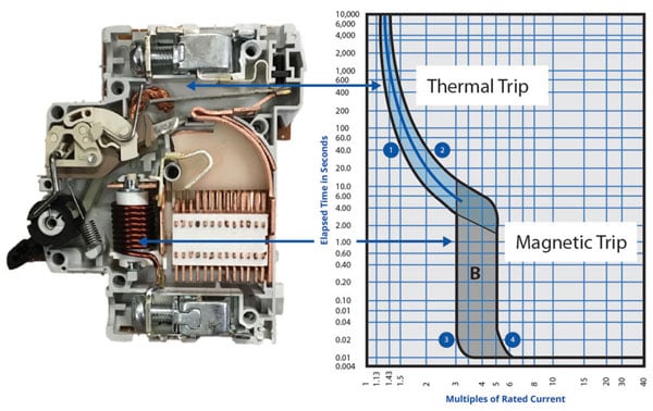 Understanding Trip Curves